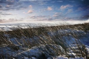 4 Things To Do And Enjoy On The Elizabeth Islands In Winter