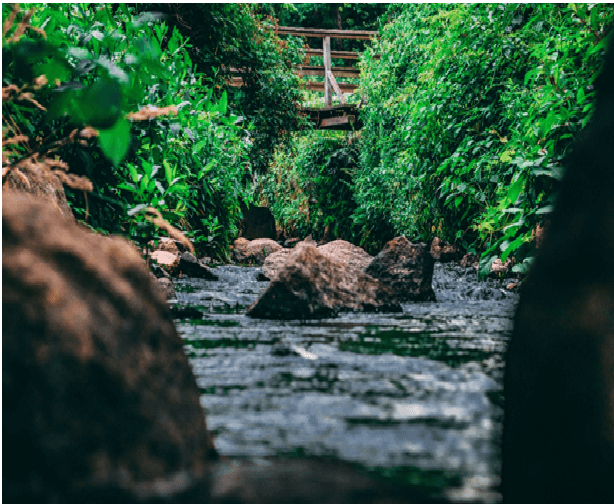 Great Herring Runs On Cape Cod And The Islands