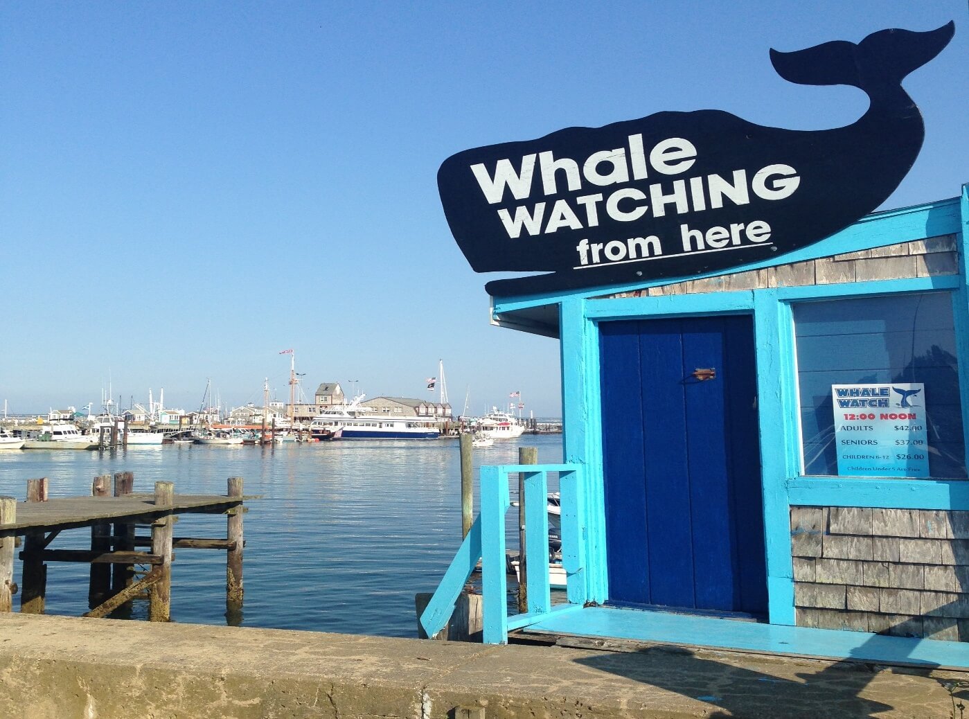 Cape Cod Boating Adventures | Cape Cod Xplore