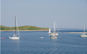 10 Best Things To Do In Cuttyhunk Island | Cape Cod Xplore