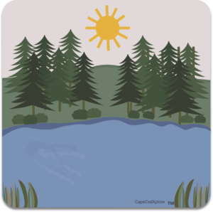 Exploring 15 Of The Best Cape Cod Kettle Ponds | Cape Cod Xplore