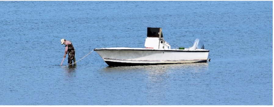 Monomoy National Wildlife Refuge On Morris Island | Cape Cod Xplore