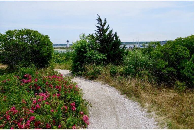 When Is The Best Time To Visit Cape Cod Massachusetts