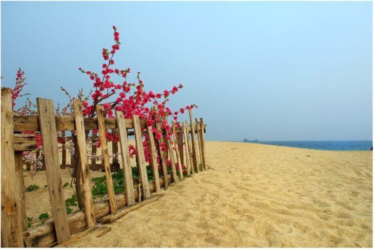 When Is The Best Time To Visit Cape Cod Massachusetts