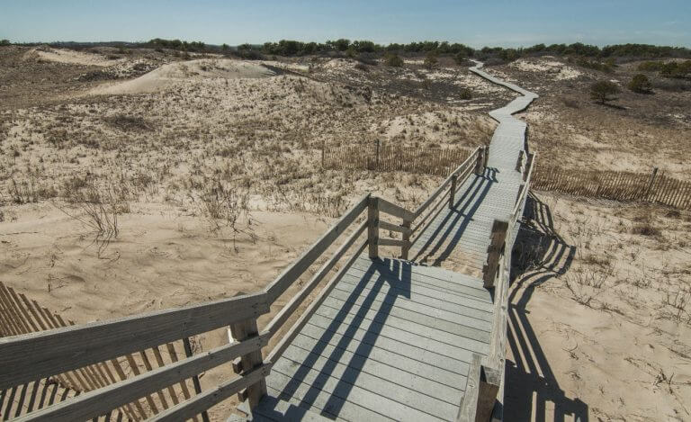 Top 10 Best Cape Cod Hiking Trails You Never Want To Miss