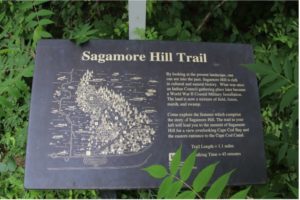 Explore Sunny Scusset Beach State Reservation - Cape Cod