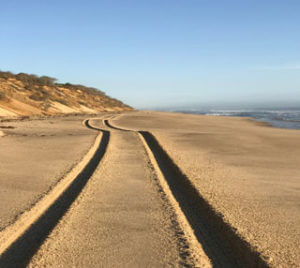 4 Best Adventure 4WD, ATV, And Off-road Tours On Cape Cod