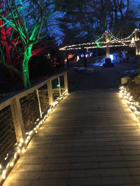 Top 14 Cool Things To Do On Cape Cod In The Winter