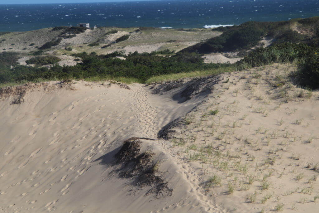Hiking The Dune Shacks Trail Of Provincetown