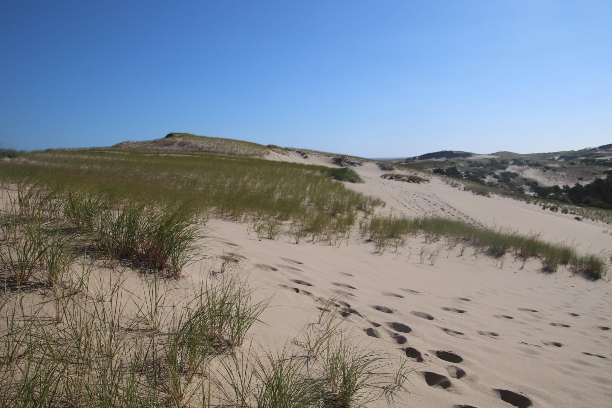 Cape Cod Province Lands Trail - Trails On Cape Cod