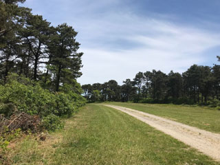 Top 5 Nantucket Hikes