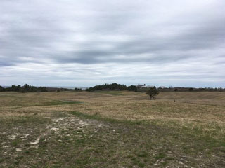 Top 5 Nantucket Hikes