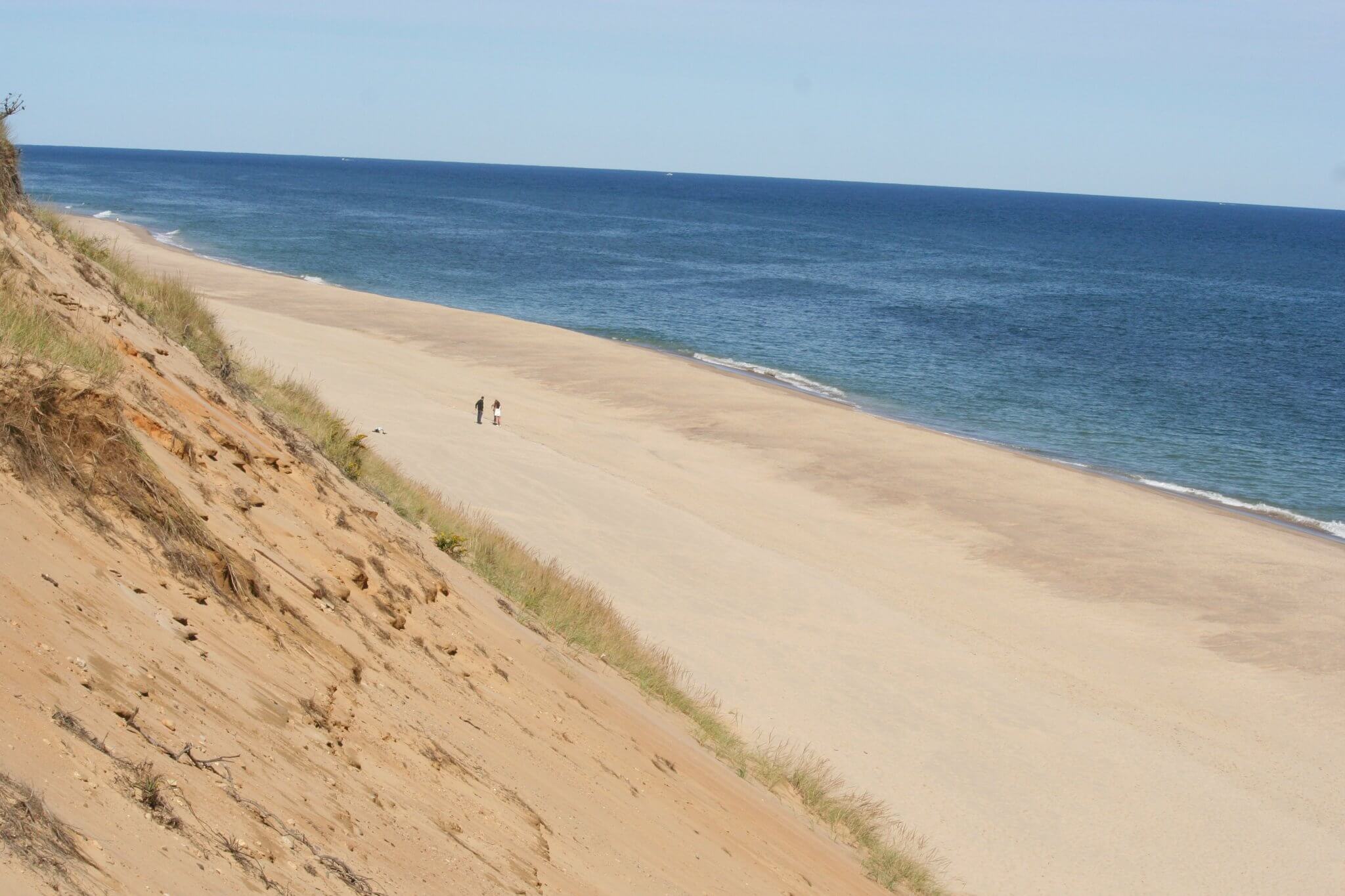 Dog Friendly Beaches On Cape Cod