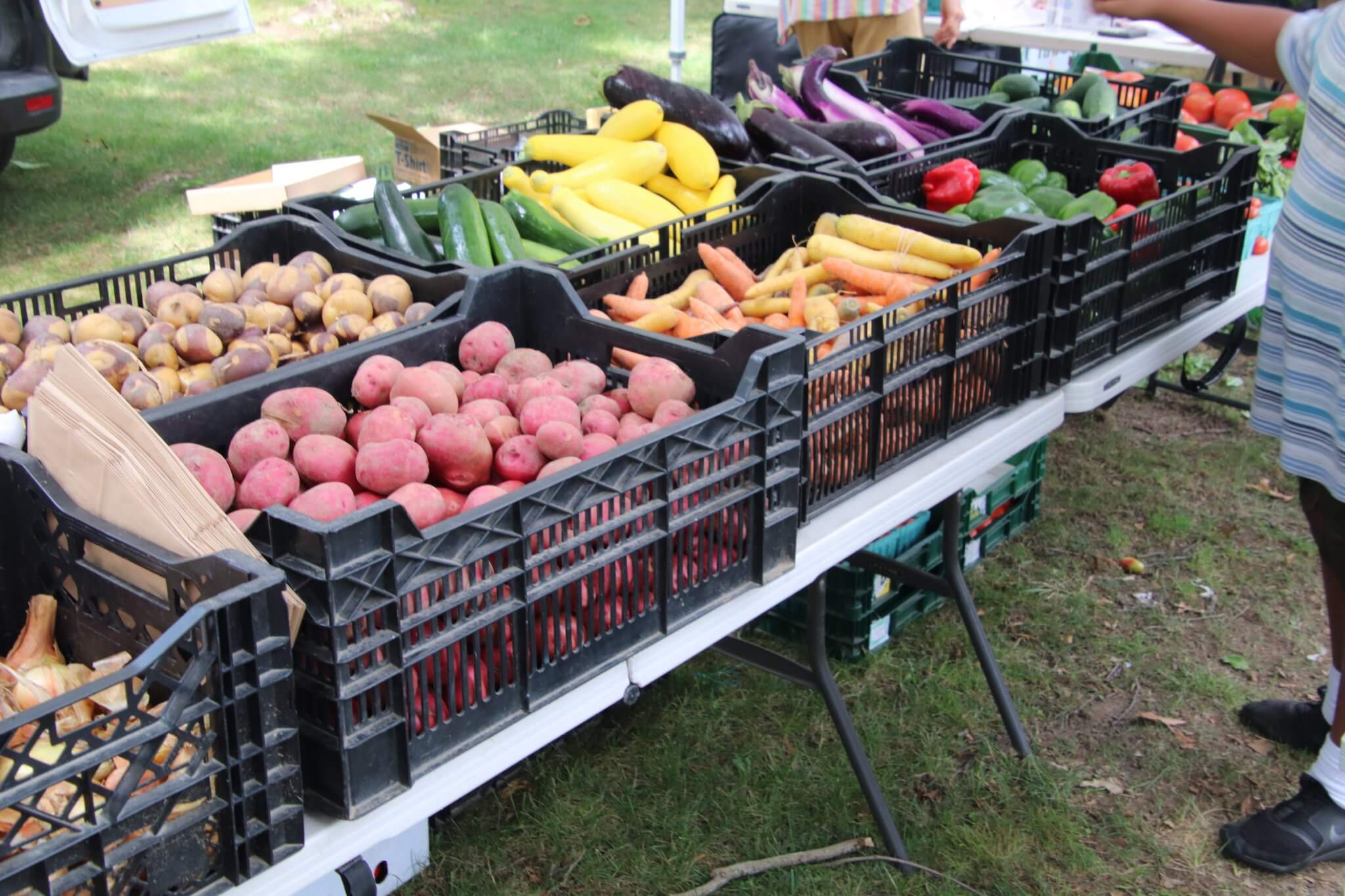 The Bountiful Farmers Markets On Cape Cod And Islands 2023