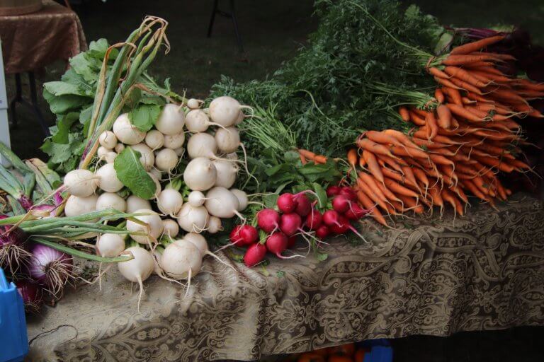 The Bountiful Farmers Markets On Cape Cod And Islands 2023