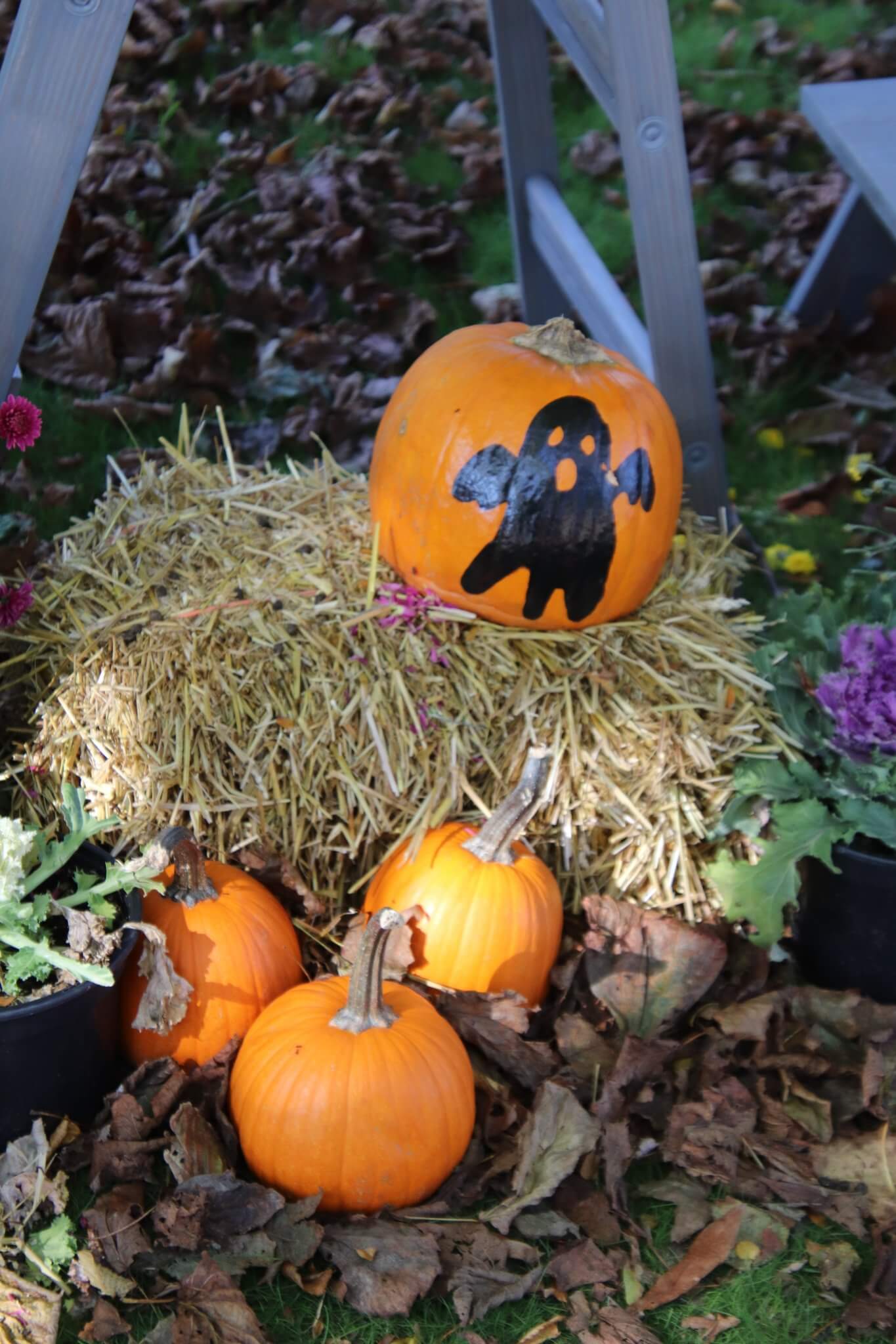 A Spooktacular Cape Cod Halloween 2024