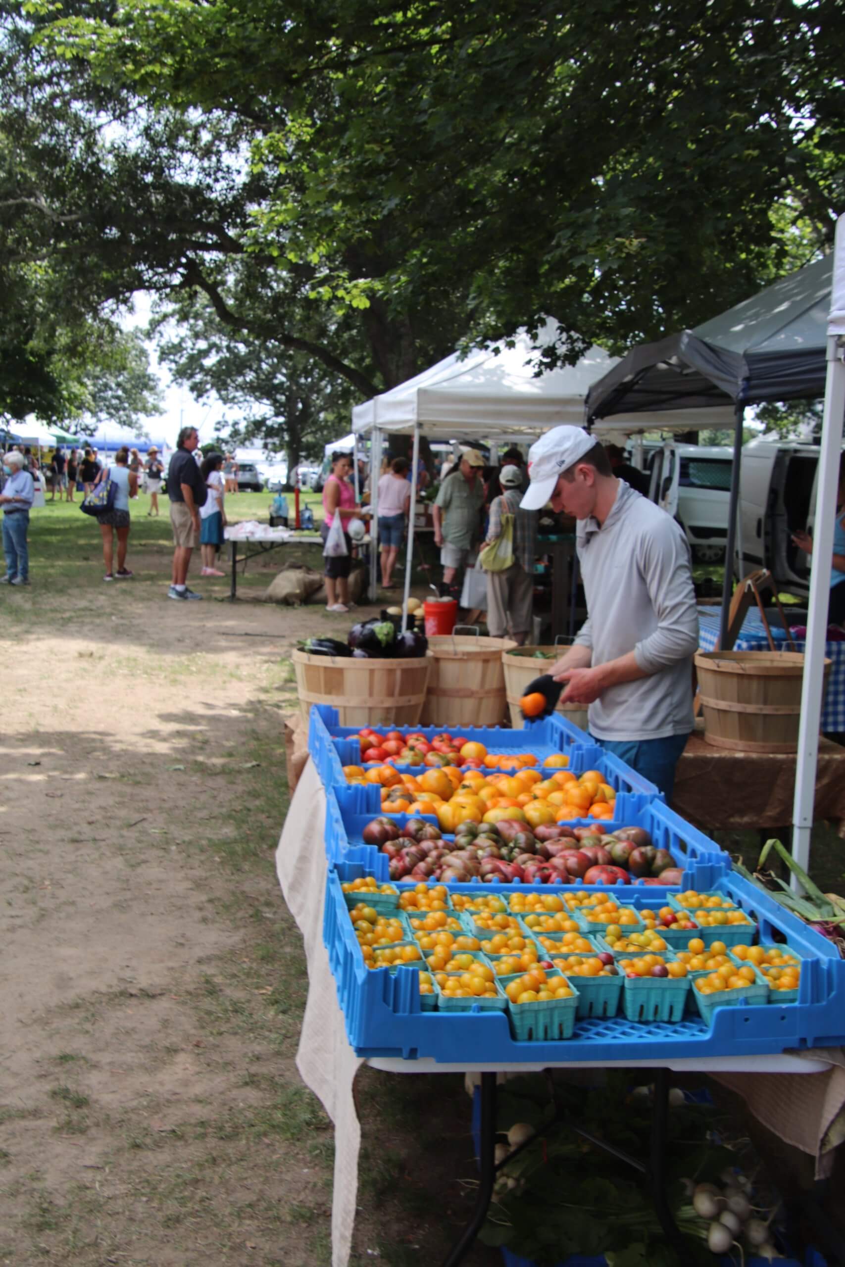 The Bountiful Farmers Markets On Cape Cod And Islands 2023