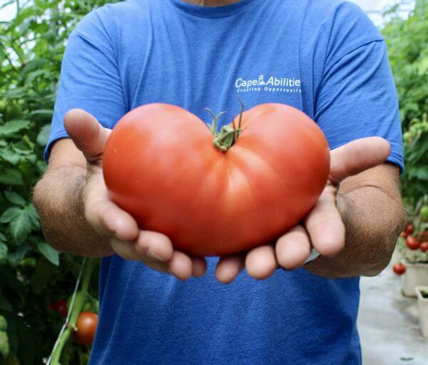 8 Best Local Farms For Kids On Cape Cod Xplore