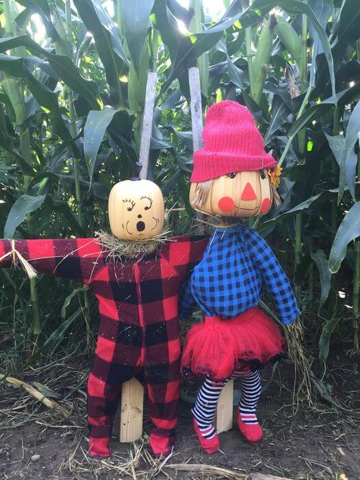 Best Local Farms For Kids On Nantucket