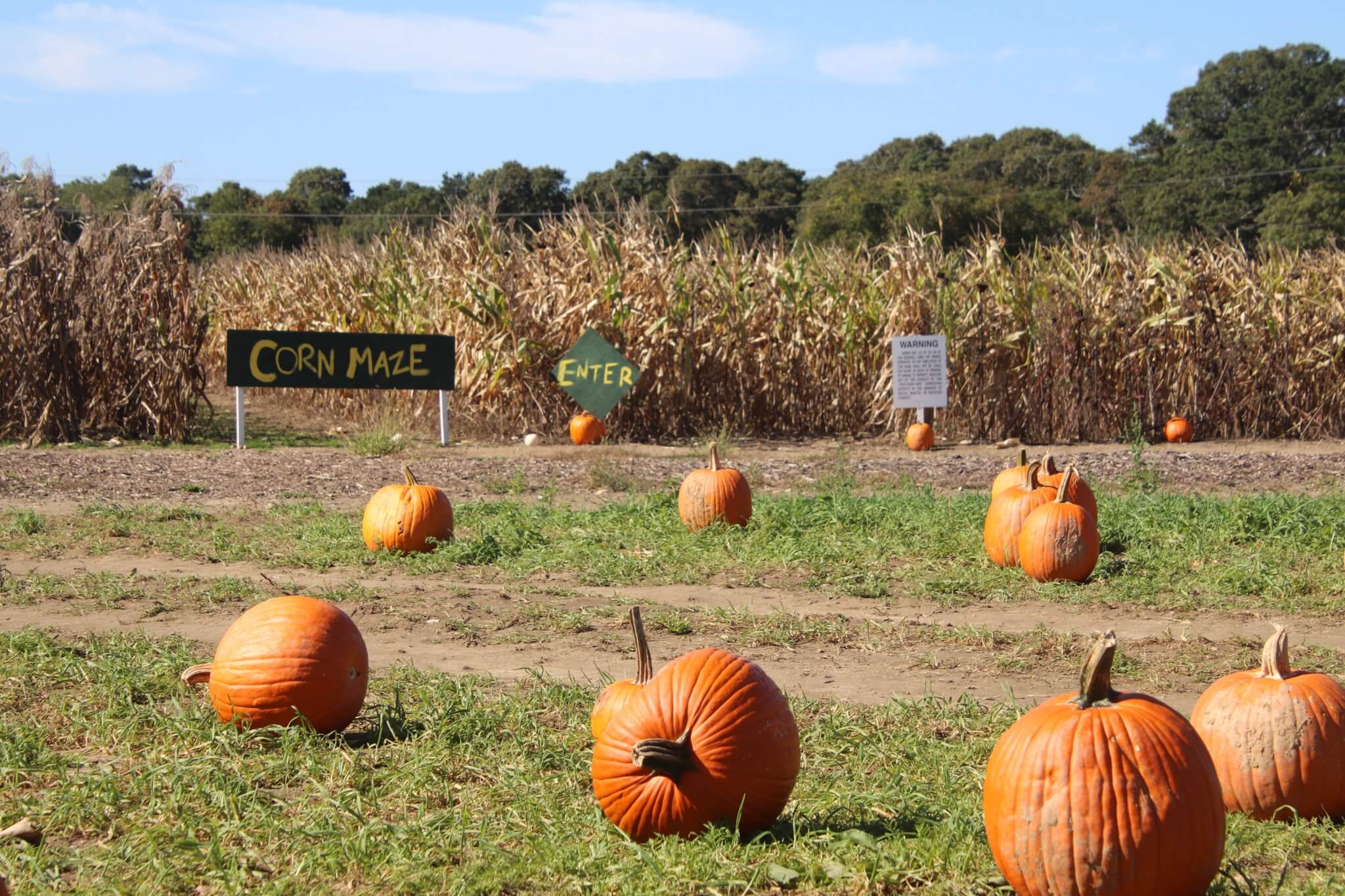 8 Best Local Farms For Kids On Cape Cod Xplore