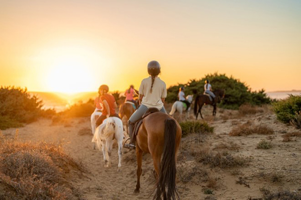 Visit Cape Cod Horseback Riding Lessons & Trails For All