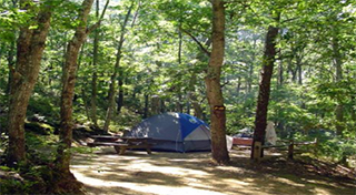 Best 30 Campgrounds On Cape Cod & Plymouth