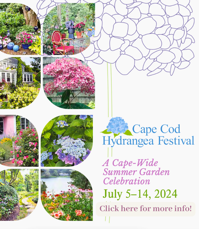 Cape Cod Guide - Things To Do In Cape Cod | Cape Cod Xplore