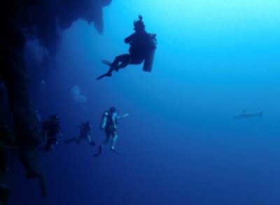 Wellfleet MA - Cape Cod Tourism | Cape Cod Xplore