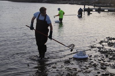 Wellfleet MA - Cape Cod Tourism | Cape Cod Xplore