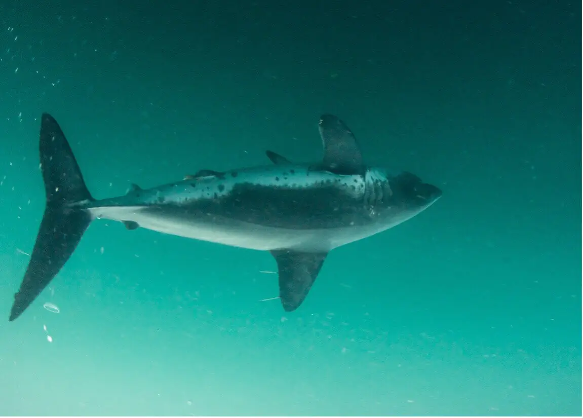 Fishing - Cape Cod Boat Rentals | Cape Cod Xplore