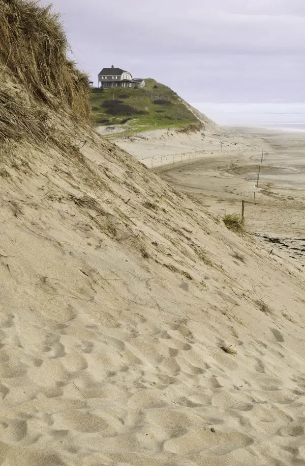 Where To Surf: Top 10 Best Surfing Beaches On Cape Cod