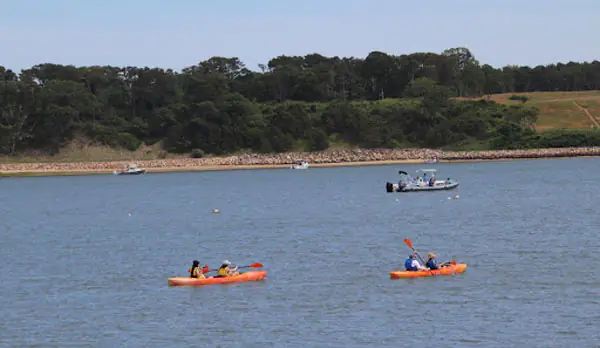 Paddle Boarding & Kayaking On Cape Cod | Cape Cod Xplore
