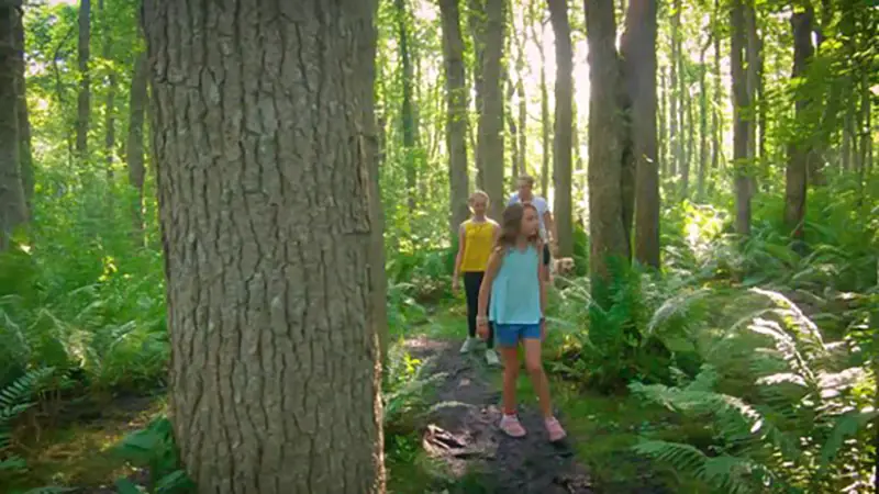 Discover Top 13 Kids Summer Camps On Nantucket | Cape Cod Xplore